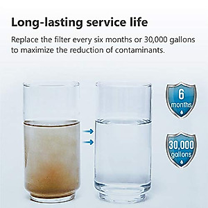 Waterspecialist FXHSC 10" x 4.5" Whole House Pleated Sediment Filter, Replacement for GE FXHSC, Culligan R50-BBSA, Pentek R50-BB, DuPont WFHDC3001, American Plumber W50PEHD, GXWH40L, Pack of 2