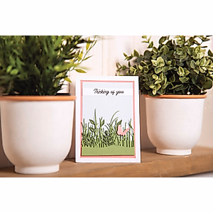 Sizzix Thinlits Die Set 4 Pack Springtime Borders by Sharon Drury, Multicolor