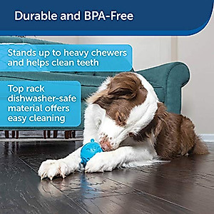 PetSafe Busy Buddy Hippster Dog Chew Toy - Treat Dispenser - Small Medium/Large