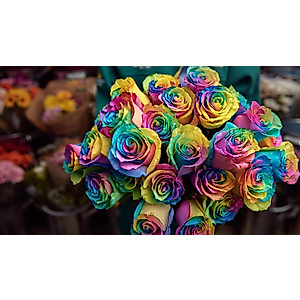 SeedCoast Rainbow Rose Seeds for Planting - Rare Rose Bushes Ready to Plant Outdoor Home Garden - Heirloom Perennial Climbing Rose Flower Bulk of 100 Seeds