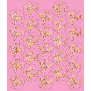 Charming Pink Hot-Stamped Baby Girl Shower Sticker Seals, 6.20 in x 5.20in- Pack of 25