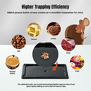 POPTRAP Rat Trap Heavy Duty & Large - 6 Pack, Super Sticky Mouse Trap with Ultra-Strong Glue, Mouse Glue Trap with Scent of Peanut Butter for Indoor & Outdoor, Non-Toxic & Long-Lasting