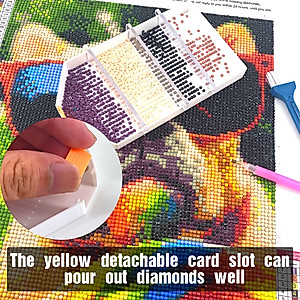 Diymood Painting Tools accessory Tray Organizer for Adults,Storage Tray Jar Containers Beads for Diamonds,Diymoon Painting Paint with Diamonds Painting supply Tools Diamond Art Kits supply,White