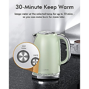 Electric Tea Kettle with Temperature Control, Longdeem 1.7L Stainless Steel Water Boiler & Heater, 1500 Watts for Fast Boiling, Cordless Serving with LED Light, Pastel Green