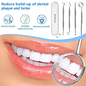 SENLMLER Dental Tools, Professional Plaque Remover Teeth Cleaning Tool Kit, Stainless Steel Dental Pick Tartar Scraper Tooth Cleaner, Oral Care Hygiene Set for Dentist Personal Pets with Storage Box