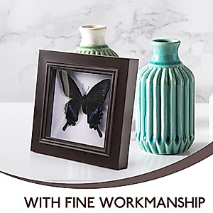 Housoutil Butterfly Specimens in Shadow Box Blue Morpho Butterfly Framed and Mounted in Black Display for Wall Shelf or Table Display