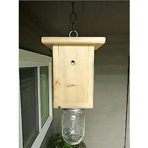 Original B Brothers-Carpenter Bee Trap