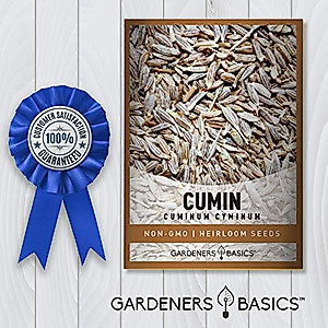 Cumin Seeds for Planting is A Heirloom, Non-GMO Herb Variety- Cuminum Cyminum Herb Seeds Great for Indoor and Outdoor Gardening by Gardeners Basics