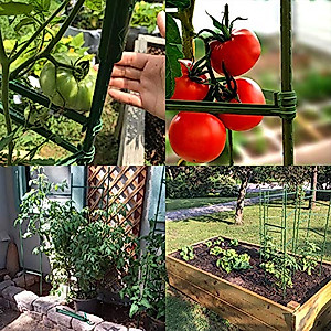 IPSXP Vegetable Trellis, Garden Plant Support Stakes for Climbing Plants, Vegetables, Flowers, Fruits, Vine, 3 Garden Trellis with 40 Adjustable Cable Tie