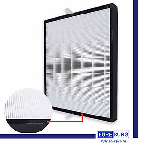 PUREBURG FLT5900 Replacement Filter Set Compatible with GermGuardian AC5900WCA Air Purifier Filter J,2-Pack H13 HEPA +Activated Carbon Pre-Filters x 4