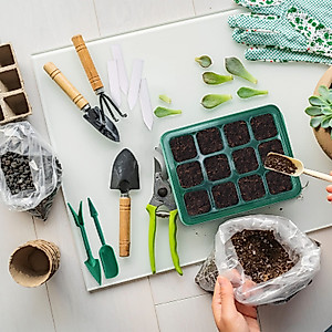 20 Packs Seed Starter Tray Seed Starter Kit with Humidity Dome, 240 Cells Total Tray Base Greenhouse Plant Starting Trays Kit with Plastic Seeding Tools and Labels for Seeds Growing Starting