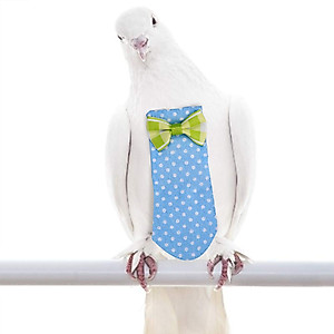 Leftwei Romantic Valentine's Day Diaper Birds Nappy, Parrot Diaper, Nappy, Pet Bird Clothes, Flying Bowknot Costume, for Household(Blue, S Code)