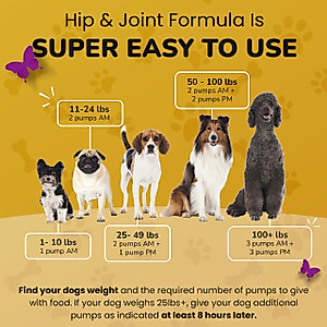 PetMade Dog Hip and Joint Supplement - Junior and Senior Dog Supplements for Mobility, Flexibility Support and Bone Strength, Deluxe Glucosamine Chondroitin for Dogs, 16 oz