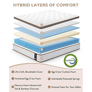 BedStory Queen Mattress - 14 Inch Hybrid Mattress in a Box - Individually Wrapped Coils for Pressure Relief and Motion Isolation