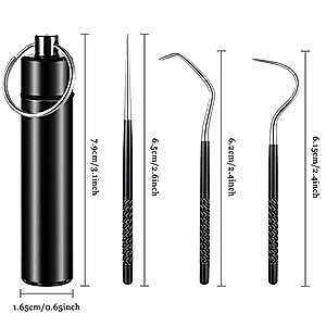 Portable Titanium Toothpicks Pocket Set Reusable Metal Stainless Steel Toothpicks with Holder for Outdoor Picnic and Camping (Black,2 Sets)