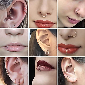 2pc 16g Hinged Clicker Captive Bead Ring Rose Gold 10mm Helix Earring Nose Hoop Rook Cartilage Tragus Lip Septum Forward Eyebrow Ear Lobe Nostril Rings Seamless Surgical Steel