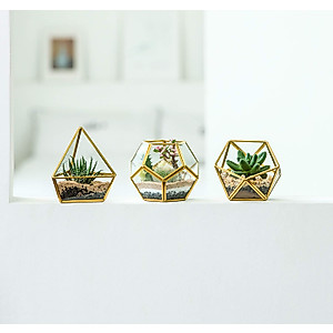 Mkono Artificial Succulent in 3 Pack Mini Glass Geometric Terrarium, Miniature Potted Faux Plant Bookshelf Desk Boho Office Room Decor for Women Girls Dorm Gift Idea, Gold