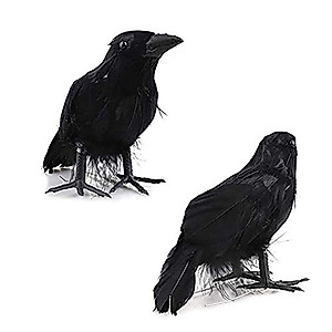 UCSAJI 6PCS Halloween Black Realistic Crow Halloween Props Black Feathered Crow Simulation Animal Model for Party Decoration