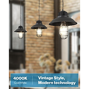 Sunco 4 Pack Vintage LED Edison Bulbs, 75W Equivalent 13W, 1600 LM Ultra Brightness Dimmable ST58 Filament, 4000K Cool White, E26 Medium Base, Clear Glass Light Bulbs