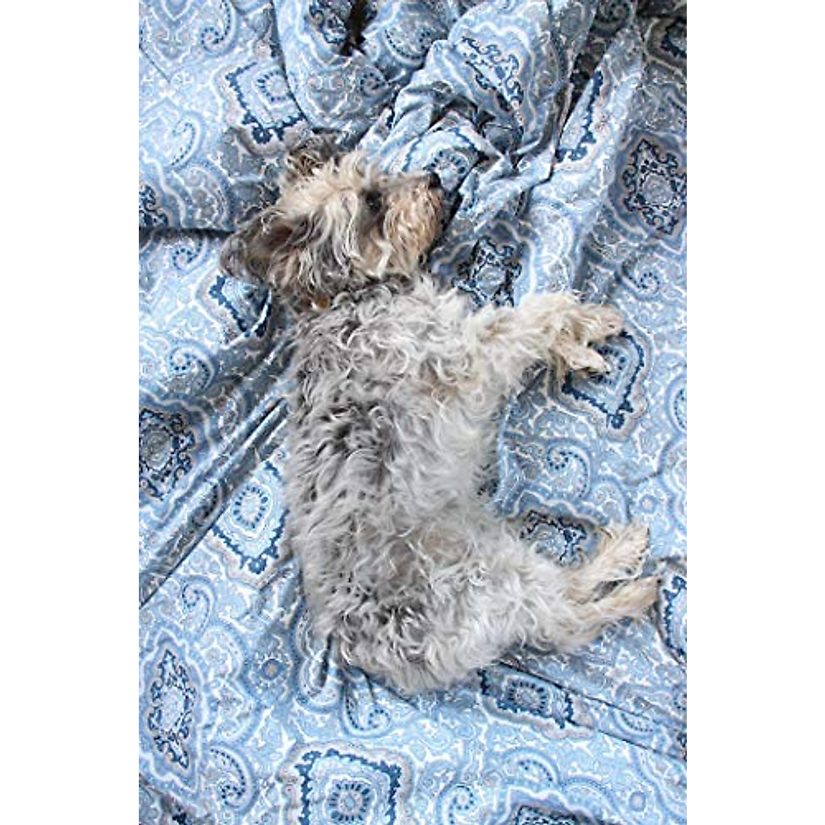 City Scene Milan Blue Comforter Set, King