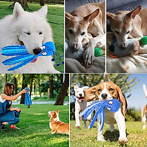 OKVSKO Dog Squeaky Toys Plush Chew Toy Crinkle No Stuffing Octopus Stuffed Duck Pet Interactive Toy Durable with Squeaker for Puppies, Small, Medium, and Large Dogs 2 Pack