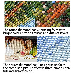 Carpaton Custom 5D DIY Diamond Painting Kits Full Drill for Adults,Personal Customized Gifts,Personalized Diamond Art for Home Wall Decor (11.7x15.8inch30x40cm, Round Drill) (DP-56806)