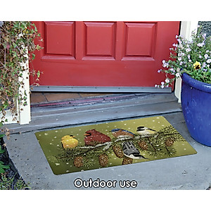 Toland Home Garden 800093 Snowy Friends Winter Door Mat 18x30 Inch Bird Outdoor Doormat for Entryway Indoor Entrance