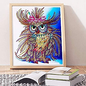 Revell 04029 F14A Tomcat Bunny (Black)