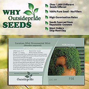 Outsidepride Corsican Ornamental Mini Mint Spreading, Mat Forming Ground Cover Plant Seeds - 25 Pellets