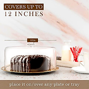 Galashield Glass Cake Dome, Cake Cover Lid for Freshness and Display | 12" Diameter