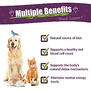 AMBER NATURALZ Radox Blood Support Herbal Blend for Dogs, Cats, Birds, Guinea Pigs, and Rabbits | Herbal Pet Supplement for Circulation and Iron | 1 Fluid Ounce Glass Bottle | Manufactured in The USA