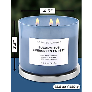 Eucalyptus Evergreen Forest Luxury 3 Wick Winter Pine Candle | Mens Candles, Scented Candles for Home | Aromatherapy Stress Relief Soy Candles 15.8 oz | Balsam Fir Woods Candles for Men & Women