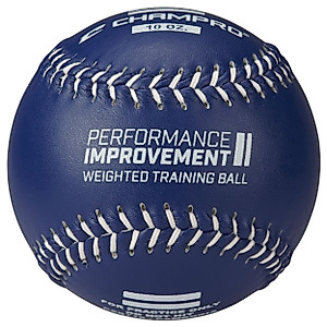 Champro Weighted Training Softballs - Leather Cover (10 oz.) (CSB7CS)