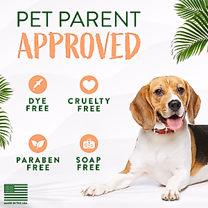 TropiClean Papaya & Coconut Dog Wipes for Paws and Butt | Deep Cleaning Dog Grooming Wipes | Safe for The Face | Cat Friendly | 20 Count