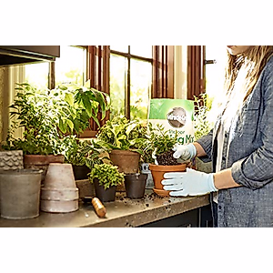 Miracle-Gro Indoor Potting Mix 6 qt., Grows beautiful Houseplants, 2-Pack