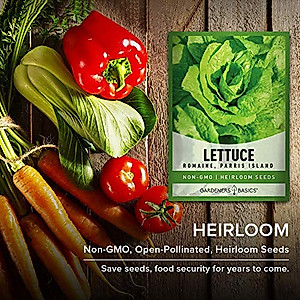 Romaine Lettuce Seeds for Planting - Parris Island Cos Heirloom, Non-GMO Vegetable Variety- 2 Grams Seeds Great for Spring, Summer, Fall, Winter Garden and Hydroponics by Gardeners Basics