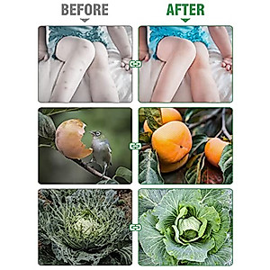 2 Pcs Garden Net Barrier - 10 x 13 ft for Each Bird Garden Screen Mesh Netting, Heavy Duty Garden Mesh for Terraces Balconies Patios Protecting Your Skin Plants Vetegables DIY (Black)