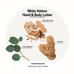 APOTHEKE Scented Hand & Body Lotion for Women & Men, White Vetiver (10 fl oz)