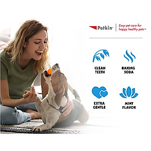 Petkin Cat and Dog Dental Wipes, 40 Wipes (Fresh Mint) - Natural Formula Cleans Teeth, Gums & Freshens Breath - for Daily Use - Convenient Dog Dental Care - 1 Pack of 40 Wipes