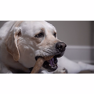 Hero | Bonetics Femur Bone | Dog Bones | Puppy Bones | Designed for Extra Large Dogs Up to 75 lbs (Bacon Flavor)