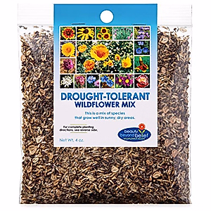 Drought Tolerant Wildflower Seeds Open-Pollinated Bulk Flower Seed Mix for Beautiful Perennial, Annual Garden Flowers - No Fillers - 4 oz Packet