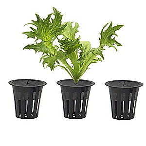 Lainrrew 36 Pcs 2" Garden Clone Collars, Cloning Collars Insert Fits 2" Net Pot Cups for Hydroponics Clone Machines (Black)