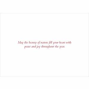 English Robin in Winter Deluxe Boxed Holiday Cards (Christmas Cards, Greeting Cards)