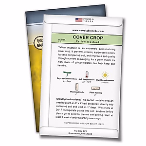 Sow Right Seeds - Yellow Mustard Seed for Planting - Cover Crops to Plant in Your Home Vegetable Garden - Enriches Soil - Suppresses Weeds - Cold Hardy - Non-GMO Heirloom Seeds - Great Gardening Gift