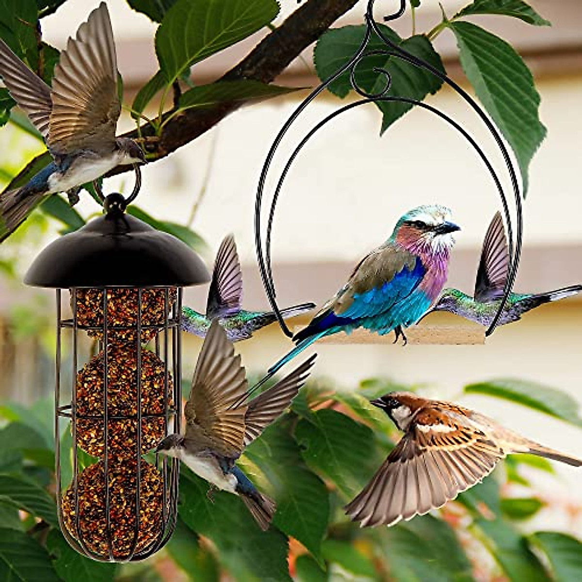 winemana Set of 3 Hummingbird Swings, Rust Resistant Metal Frame, Wooden Dowel, Attach to Bird Feeders, Perfect for Hanging Indoor Office Outdoor Trunk Lawn Patio Garden (7.4" x 5.5")
