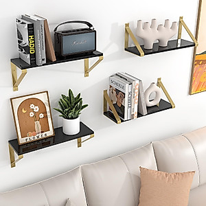 Cilinta Gold Black Floating Shelves Wall Mounted Set of 2, 8mm Transparent Acrylic, Invisible Wall Shelves for Bedroom, Living Room, Bathroom, Kitchen, Office Display Decor (13in)