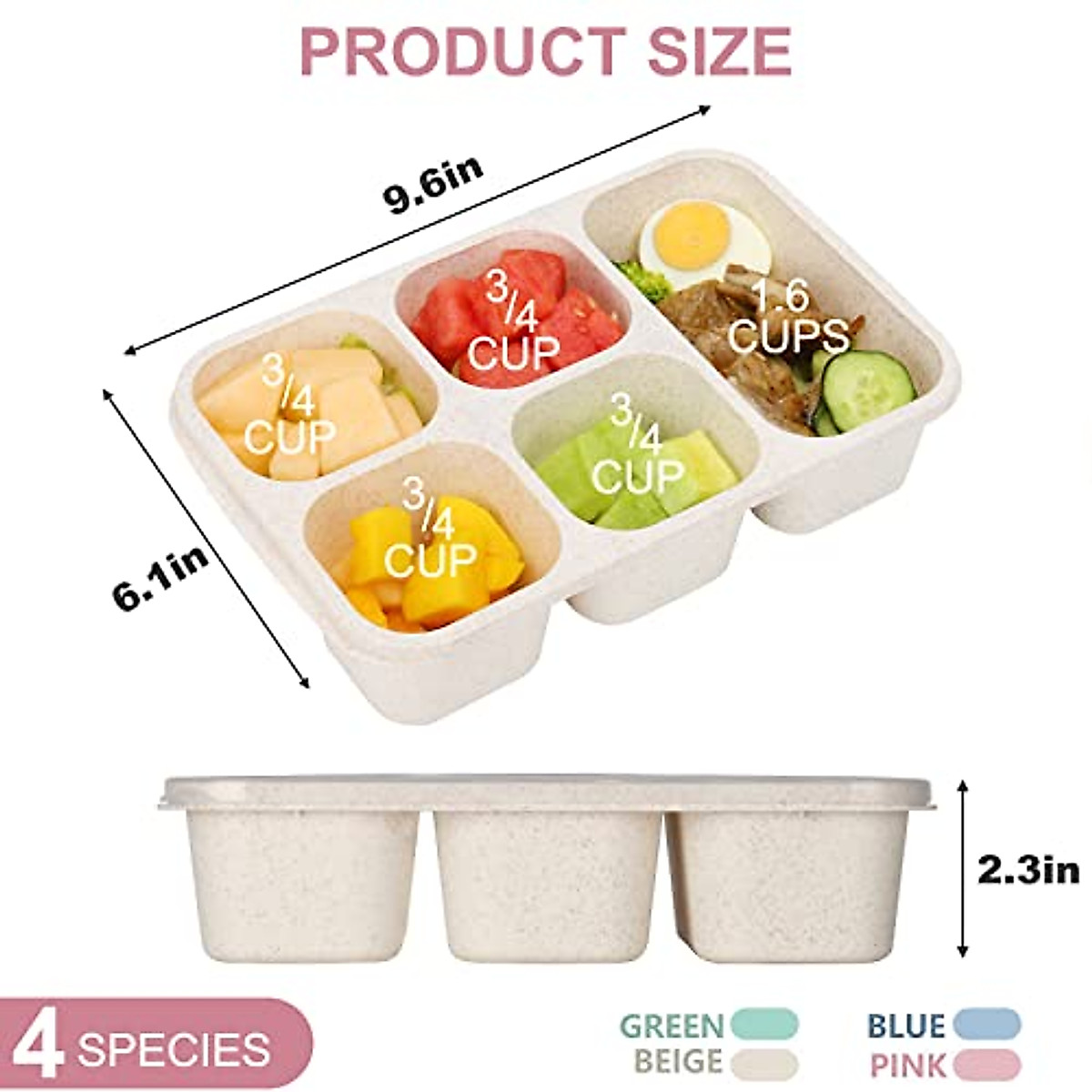 Ylebs 5 Compartment Bento Lunch Box,Reusable Meal Prep Containers,BPA-Free Stackable Divided Food Storage Container,for School, Work, and Travel, Dishwasher Safe,Set of 4