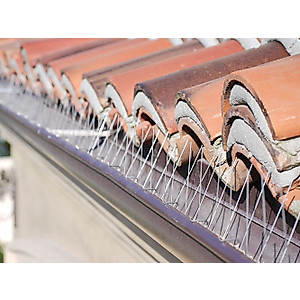 Gutter-Point Stainless Steel Bird Spikes - Pigeon Repellent Kit for Rain Gutters - Nest Deterrent Metal Pins Strips with Plastic Base & Clips - 50-Pack