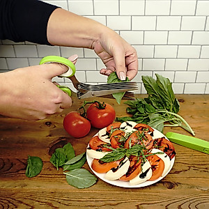 RSVP International (SNIP) Stainless Steel 5 Blade Herb Scissors, Green/White | Cut, Chop, Mince & Snip Herbs | Easy & Safe to Store | Use with Basil, Thyme, Parsley & More | Dishwasher Safe