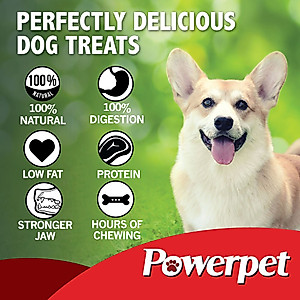 Natural Dog Chew - Powerpet: Bully Sticks - 12” Jumbo Bully Sticks - 7 Ct - Odorless - Helps Improve Dental Hygiene - 100% Natural & Highly Digestible - Helps Keep Your Dog Healthy & Happy